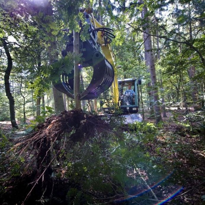 Landgoed krijgt eerherstel | Bergen op Zoom | bndestem.nl