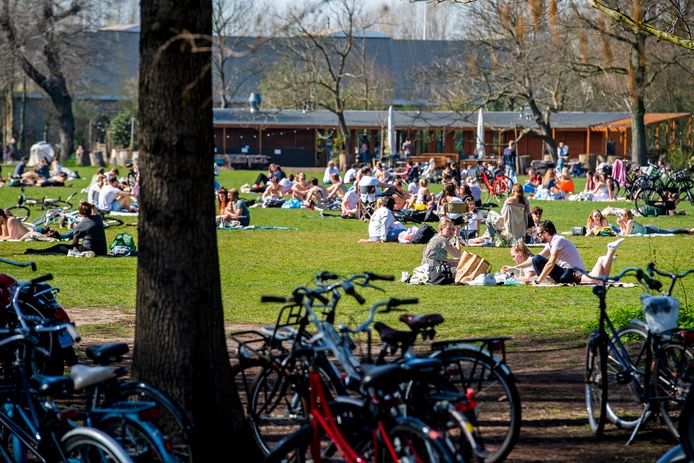 Extra maatregelen om schade aan het gras te voorkomen tijdens festival ...