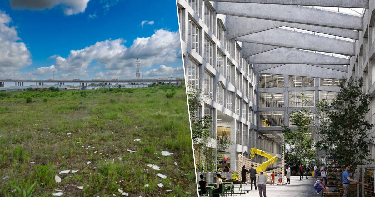 Jarenlange lijdensweg lijkt voorbij: opvolger Uplace krijgt nu toch omgevingsvergunning ...