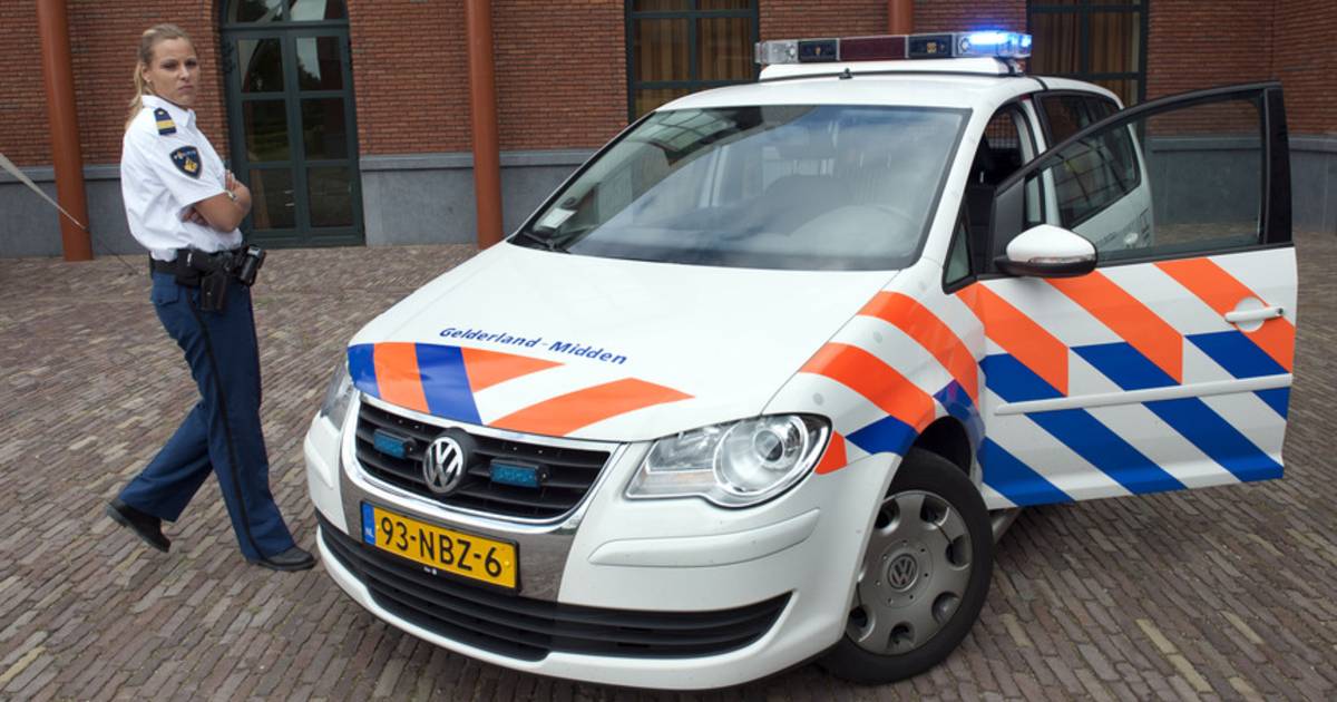 Strepen op auto schenden auteursrecht politie | Binnenland | AD.nl