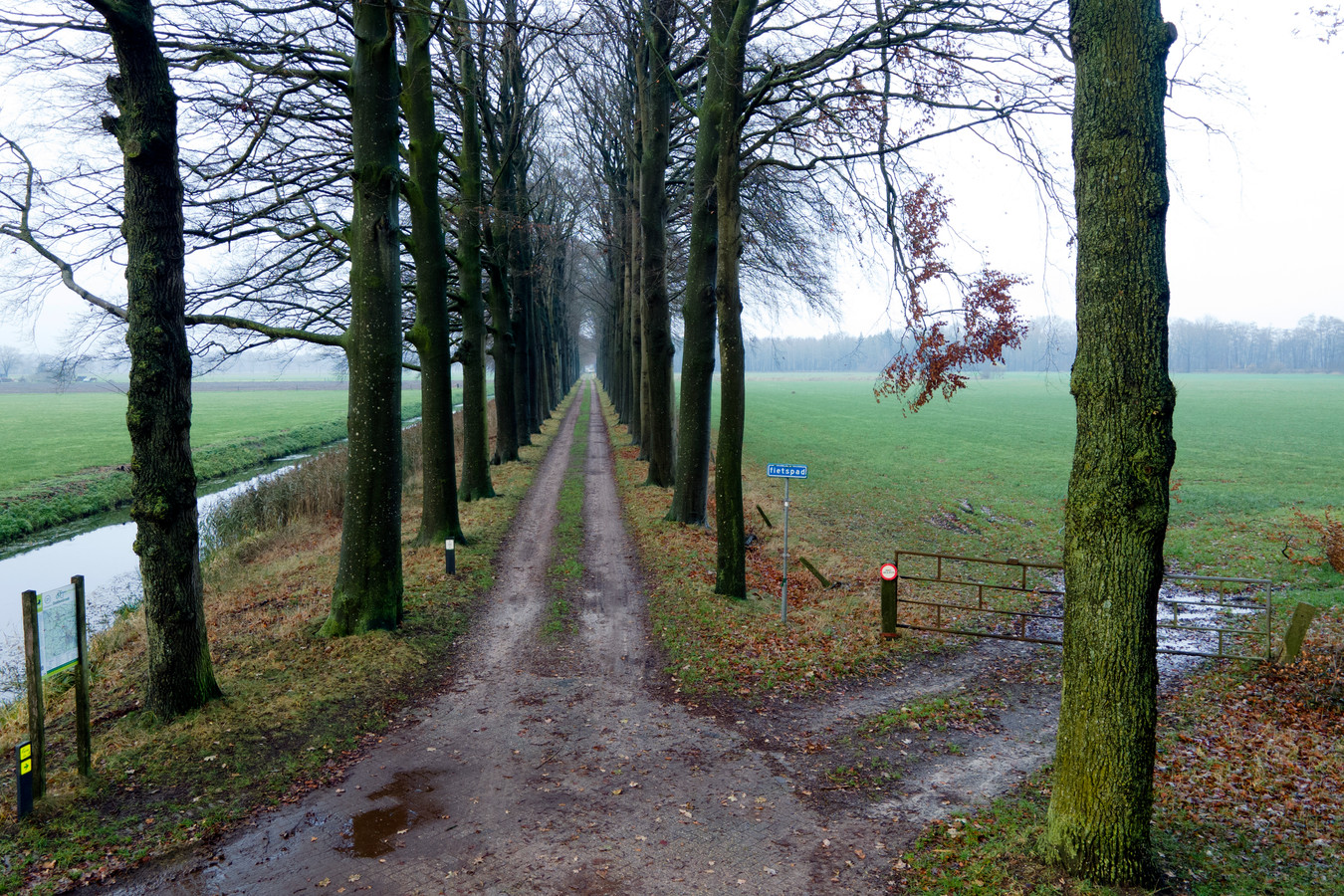 Op de bres voor eeuwenoud coulisselandschap in Raalte: ‘De hele buurt ... Op de bres voor eeuwenoud coulisselandschap in Raalte: ‘De hele buurt ...