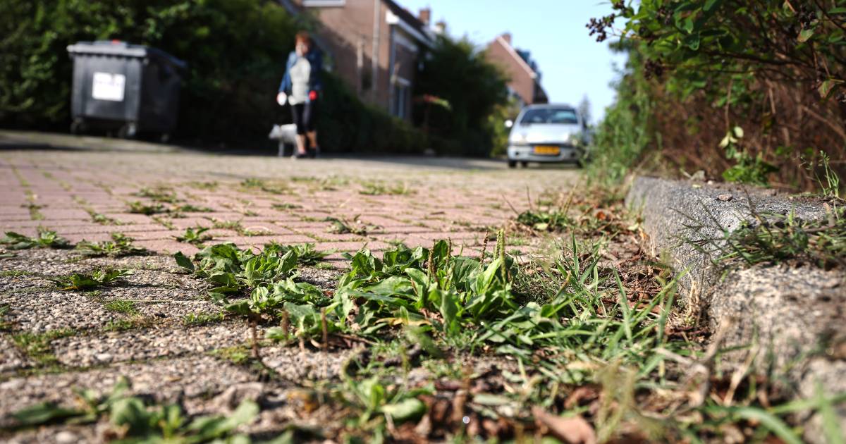 Alle gemeenten moeten bezuinigen, in deze twee plaatsen wordt het nóg ...