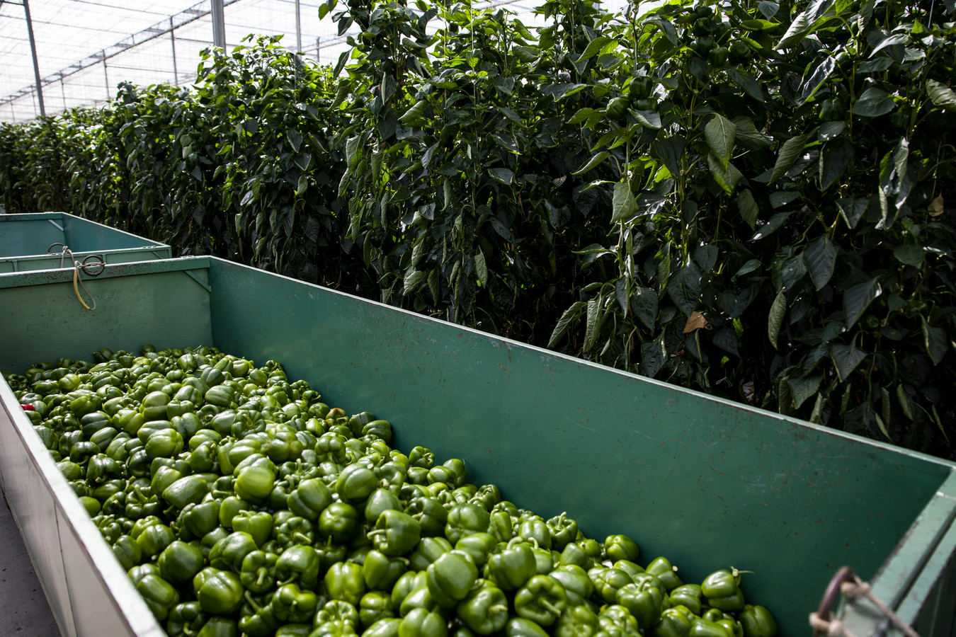 Heeze-Leende moet met beter verhaal komen over de bouw van een ...