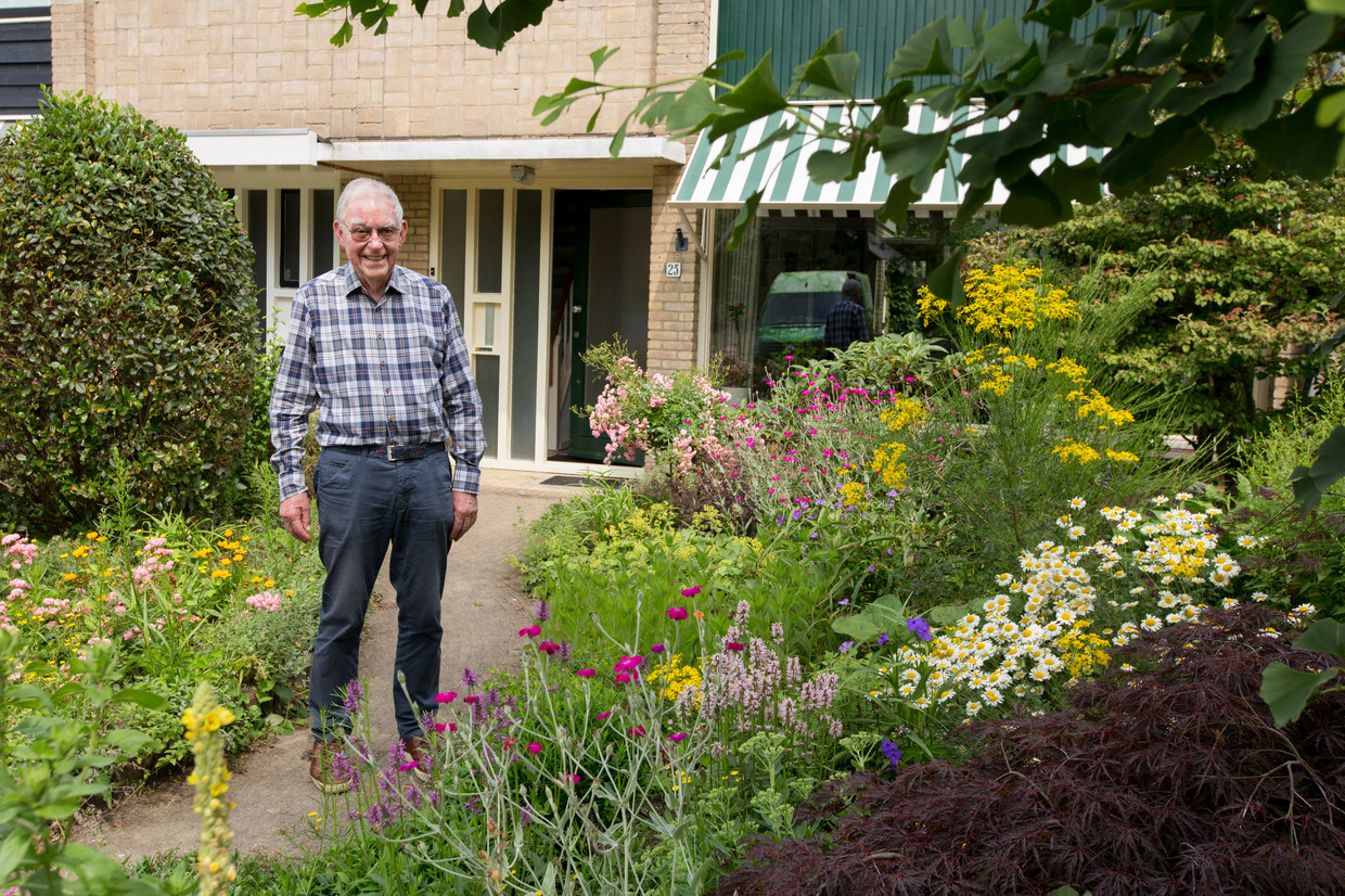 Toen zijn relatie uitging, werd Jan Fokkens (84) een ander mens. ‘Ik ...