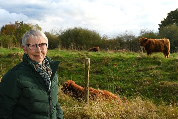 Door stier aangevallen Tilly (81) maakt zich ernstig zorgen: ‘Moeten er ...
