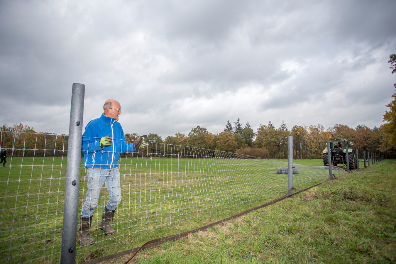 Angst voor wolven in de Achterhoek neemt toe, hobbyboer uit Ruurlo ...