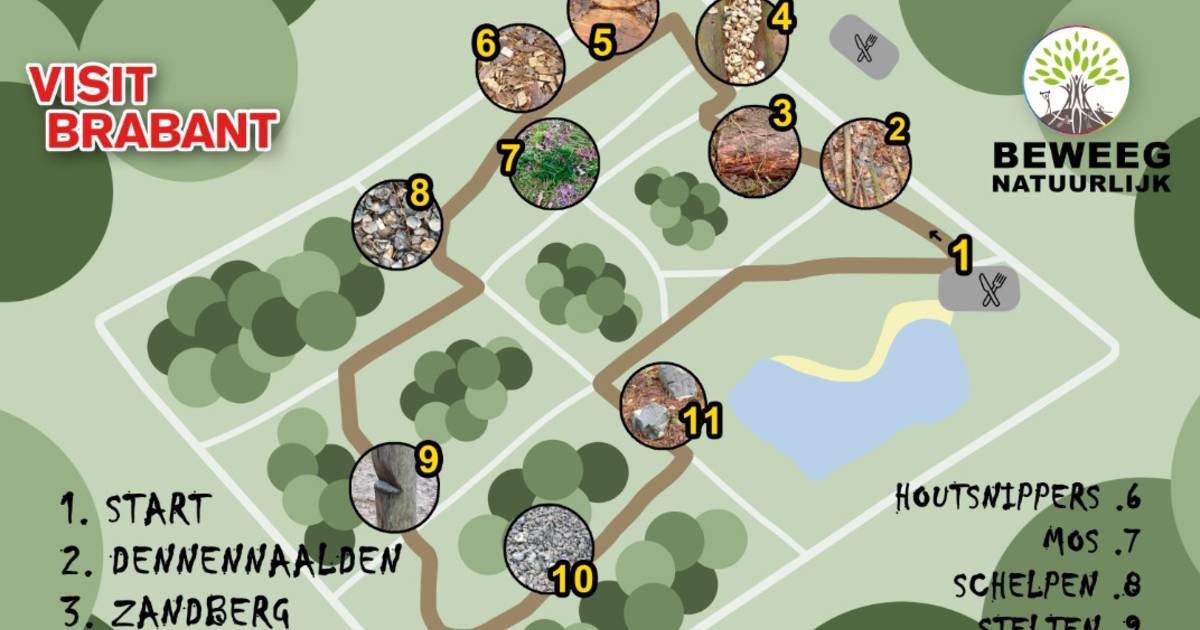 Blotevoetenpad in Hooge Mierde | Ravels | hln.be