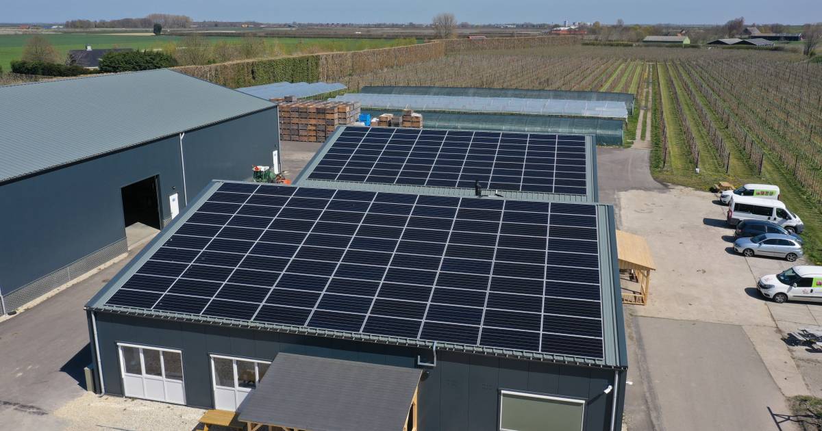 Run Op Collectief Zonnedak Zeeuwen Steken Spaargeld In Zonnepanelen