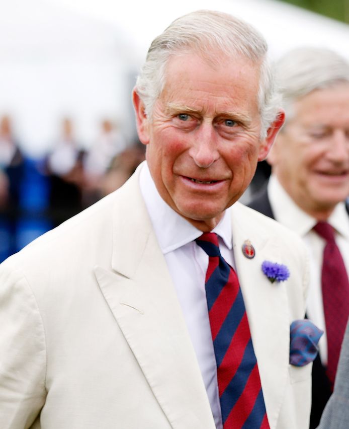 "Prins Charles geeft wereld 33 jaar uitstel voor ecologische ramp ...