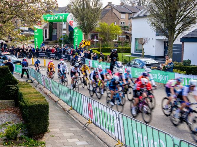 Vrachtwagen rijdt wolf dood op A2 bij Culemborg | Utrecht | AD.nl