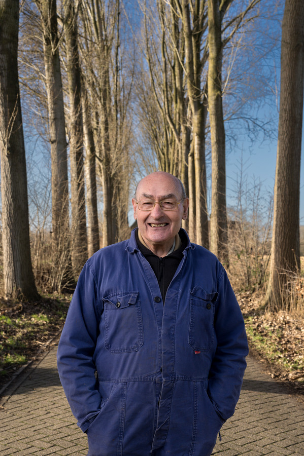 De telefoon rinkelt bij Rien: de populier is weer populair | Foto | AD.nl