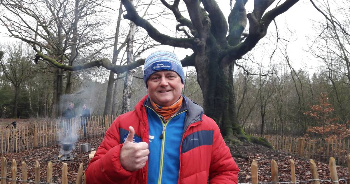'Tree hunter’ McBride bij Heksenboom: ‘Jullie snappen dat veel beter ...