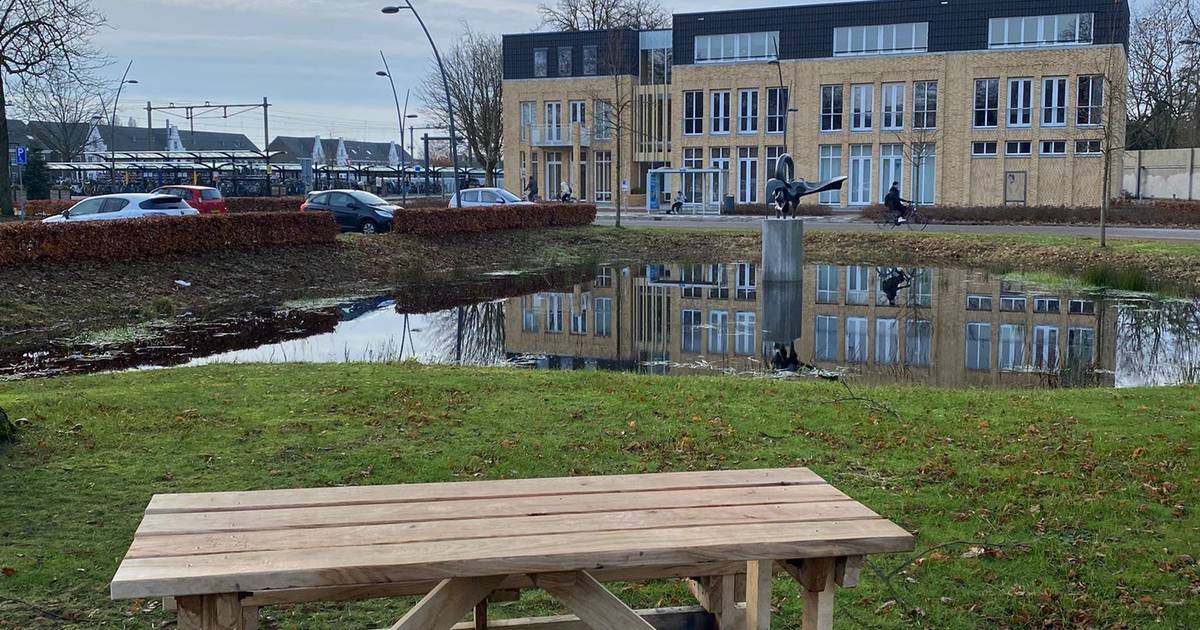 Niet meer te missen voor Deurnese treinreiziger: beeld Joep Coppens ...