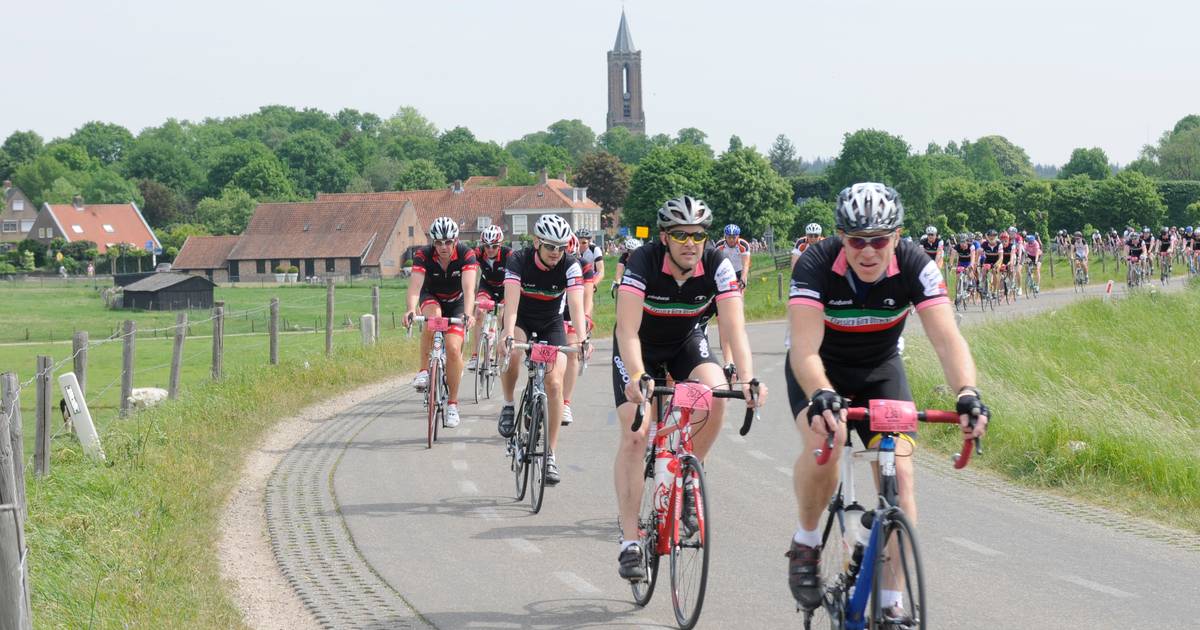 ‘Geef wielrenners in Utrecht een aparte fietsstrook’ | Utrecht | AD.nl