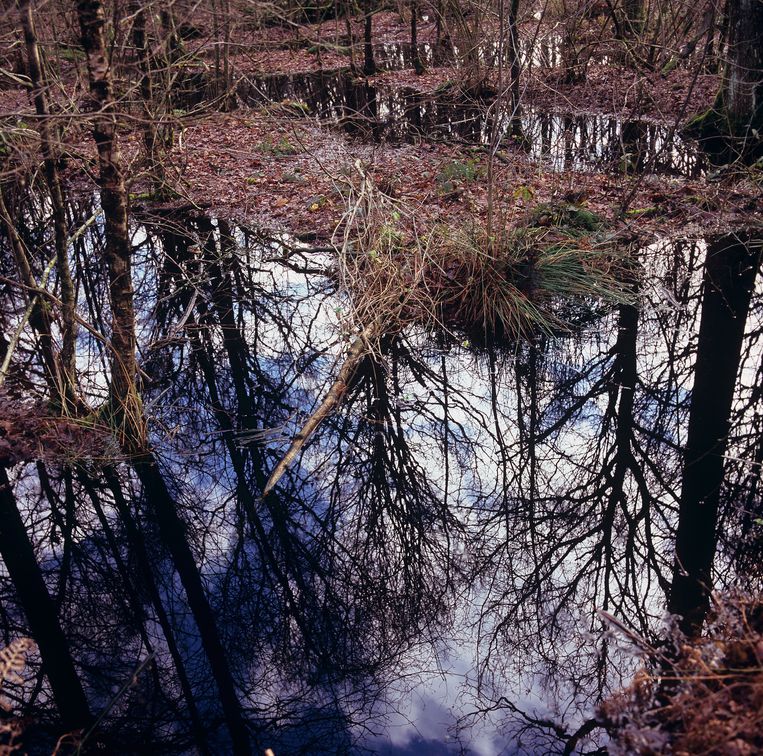 De economie werkt tegen de natuur. ‘Hoe viezer het water, hoe hoger het ...