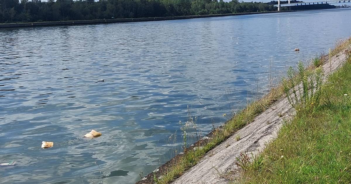 KIJK. Talloze stukken afval dobberen in Albertkanaal in Hasselt ...