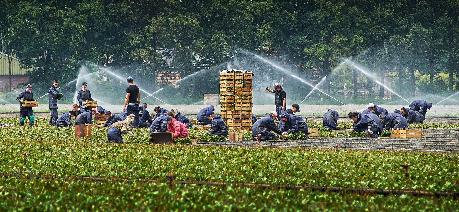 Publiekscampagne in Noordoost-Brabant van start om op het grote belang ...