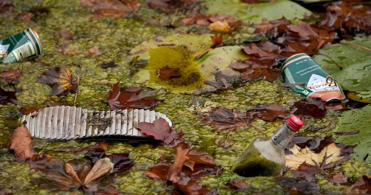 App om losse tegel of zwerfvuil te melden moet meer bekendheid krijgen ...