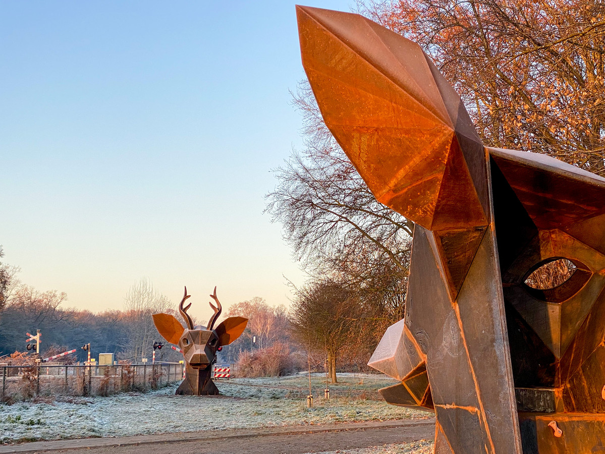 Het Liefdespad lopen in Ruurlo, voor ‘een gratis portie liefde’ | Foto ...