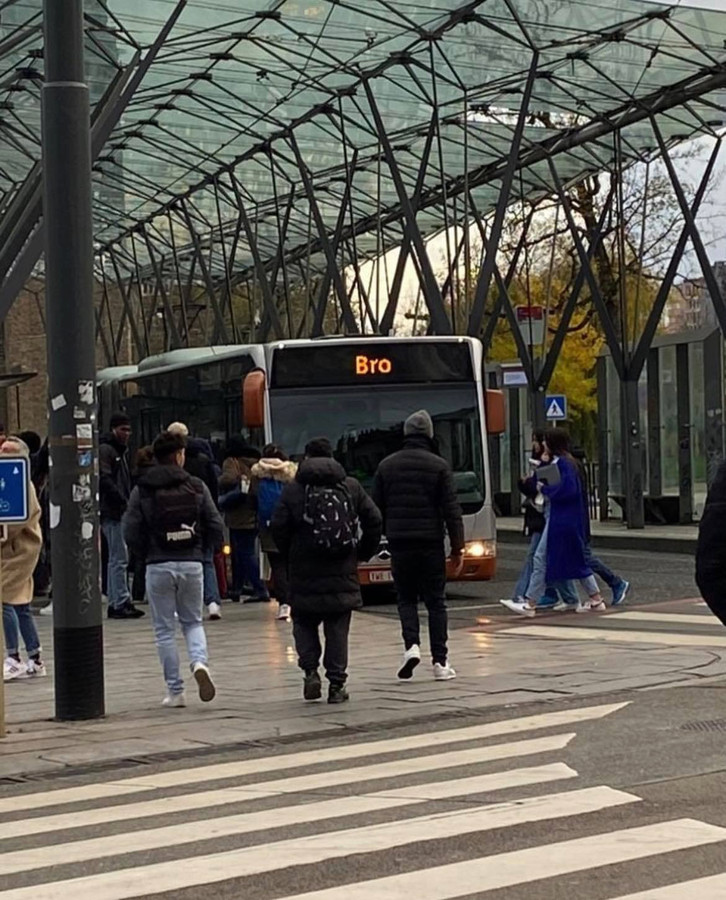 Een auto op de tram, een bus met halte ‘Bro’ of een step die geparkeerd werd óp een vuilnisbak ...