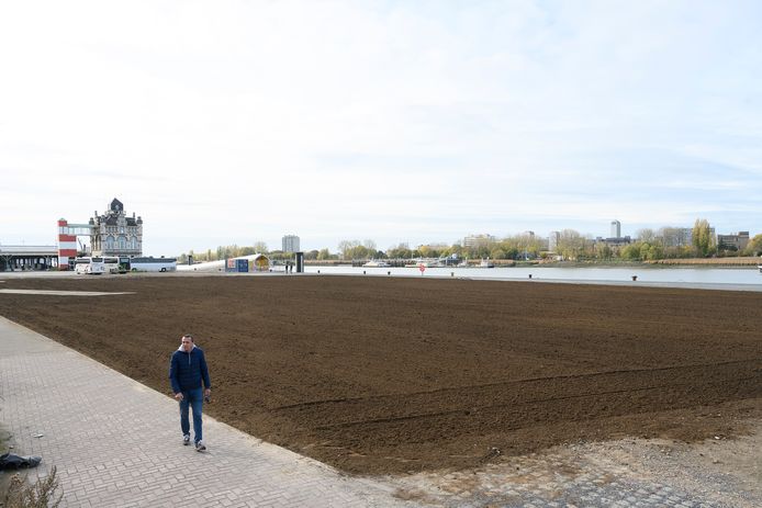 Gazon met bloemetjes op komst op Scheldekaaien: “Een groene oase aan ...