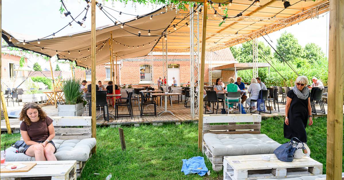 NET OPEN. Zomerbar Zomergem staat voor familiale sfeer en gezelligheid ...