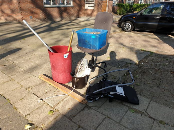 Jonge duiven gedumpt bij grofvuil Katendrecht: ‘Dit heb ik nog nooit ...