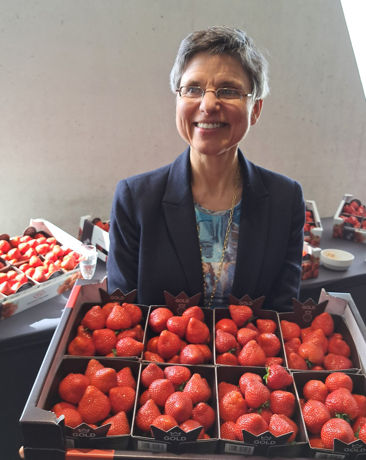 Hoogstraatse aardbeien voor gouverneur Cathy Berx | Foto | hln.be