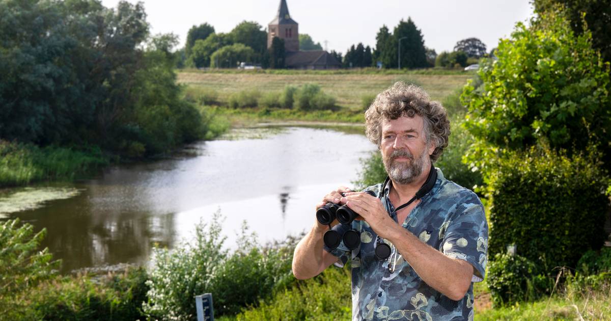 Henk van Lingen telt watervogels, de hele winter: ‘Er wordt beleid mee ...