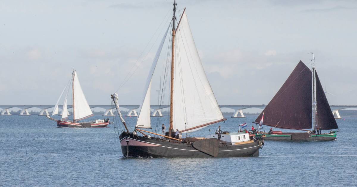 Traditionele bietentocht trekt door Zeeland: ‘Vandaag in Colijnsplaat ...