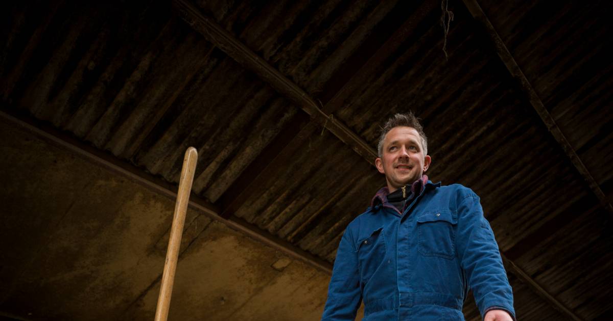 Boer Albert uit Oene blikt twintig jaar na MKZ-crisis terug: ‘De stal ...