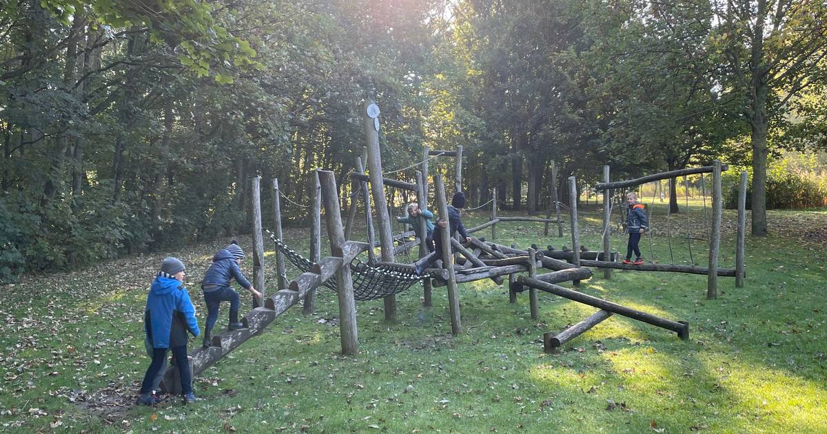Op avontuur met de kids: ontdek het ‘multimovepad’ in het Parkbos | De Pinte | hln.be