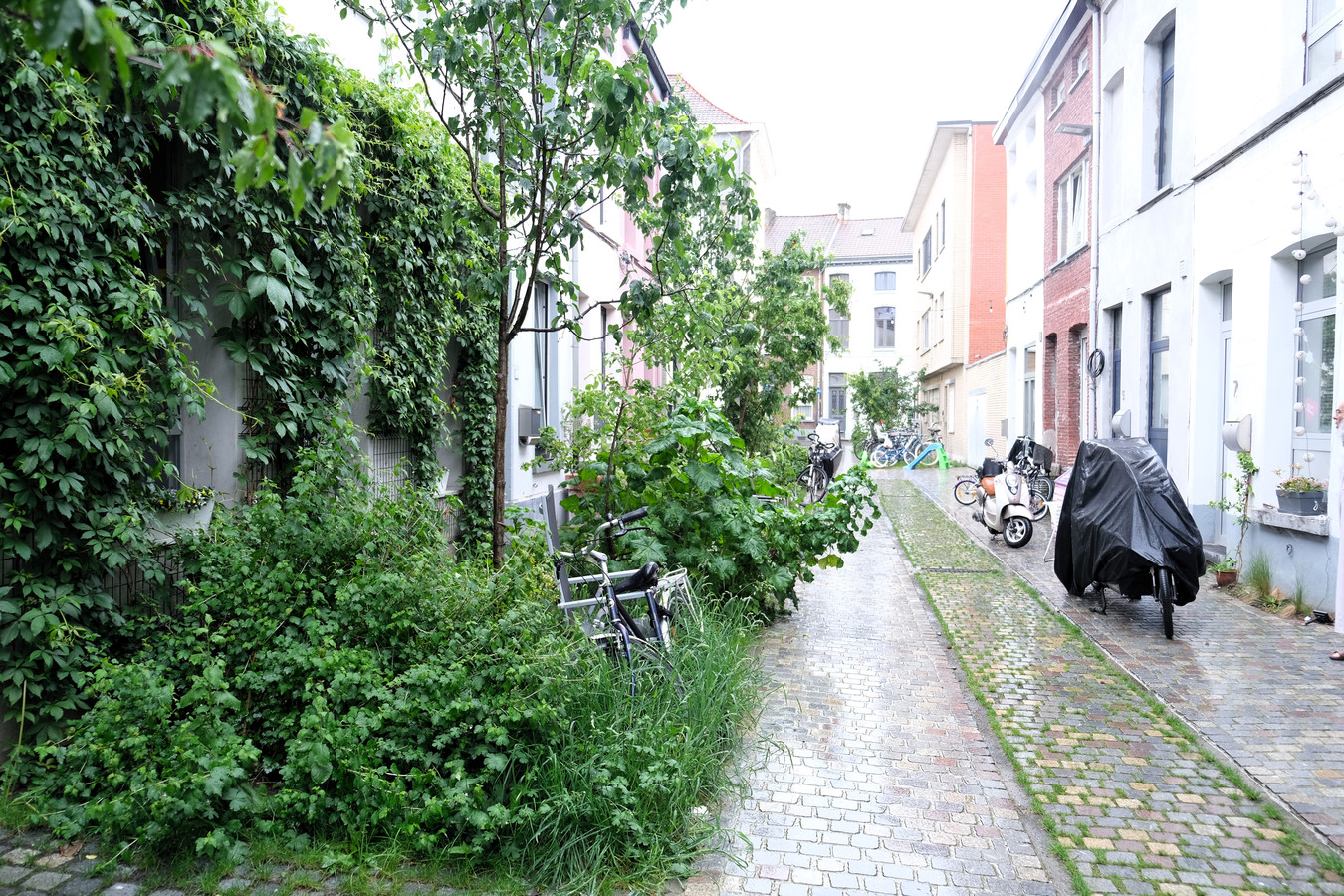 Partners sluiten ‘Green Deal Tuinstraten’: “Tegen 2030 moeten er ...