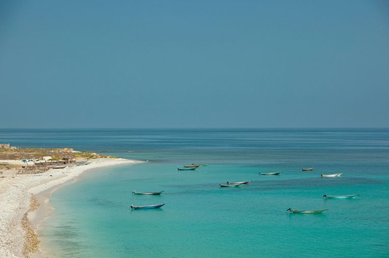 Arabische Zee hapt naar adem: dode zone "groter dan Schotland" ontdekt ...
