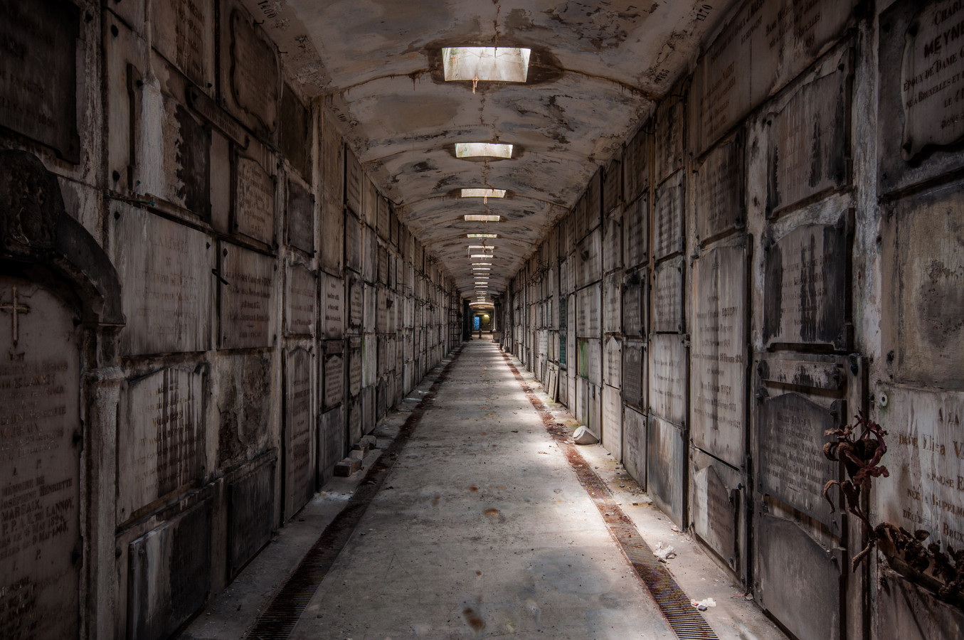 Leopold I moest langs de zijdeur en Albert II stond voor een groot ...