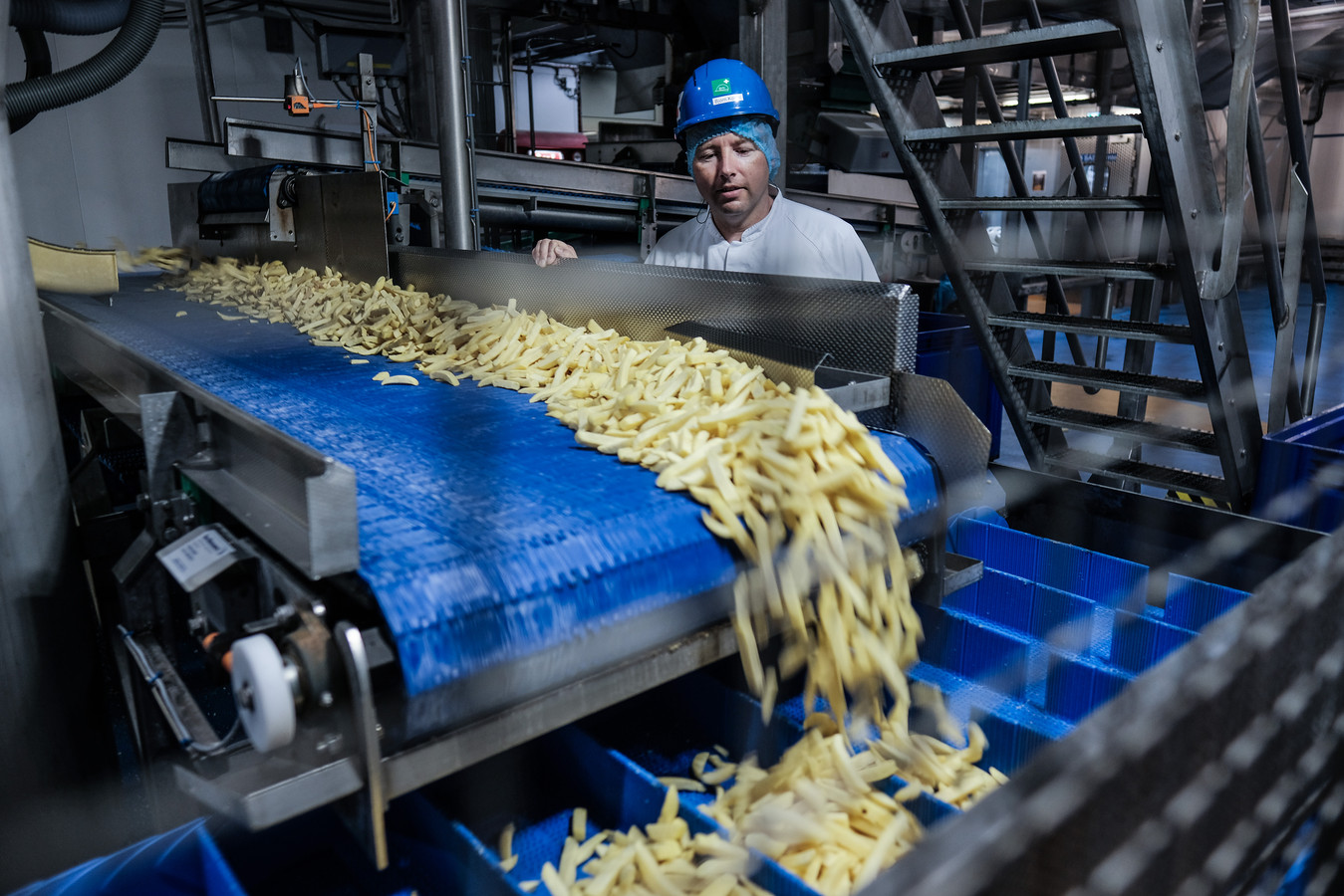 Aviko verder zonder zonnebloemolie uit Oekraïne, oorlog maakt het ...
