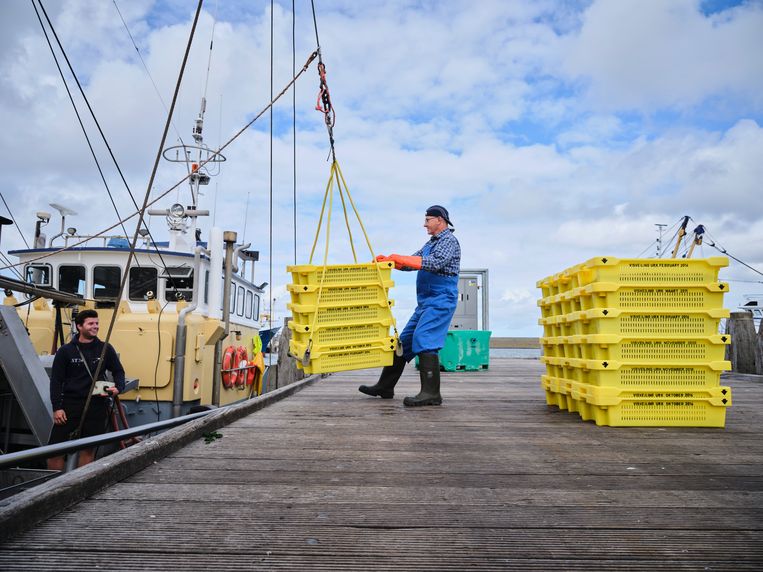 De identiteit én portemonnee is vergroeid met de haven in Harlingen