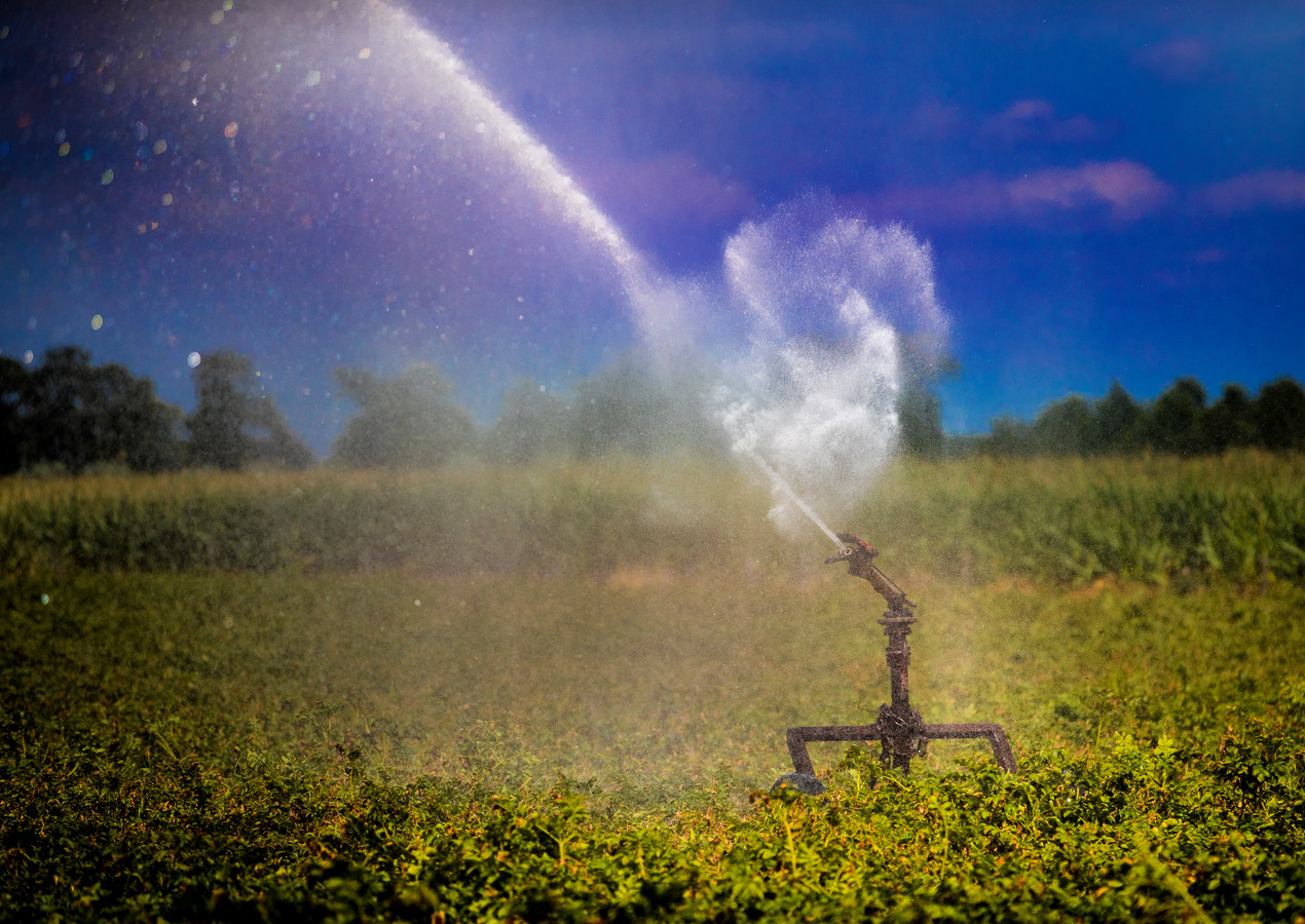 Waterschap is overzicht kwijt; wie pompt er allemaal grondwater op ...