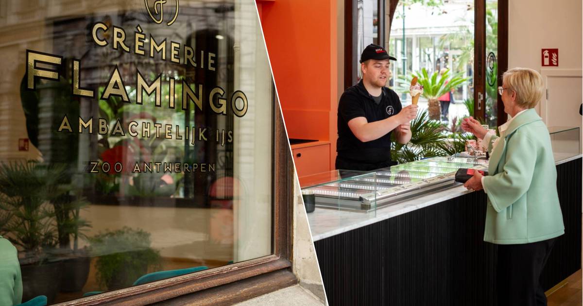 Antwerpse Zoo opent crèmerie in hoekpand aan Astridplein: “Keuze uit ...