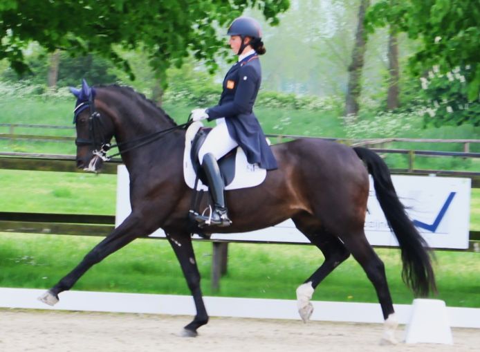 Stephanie de Frel geniet in Nisse van Shakira en Lolita: ‘Twee fijne ...