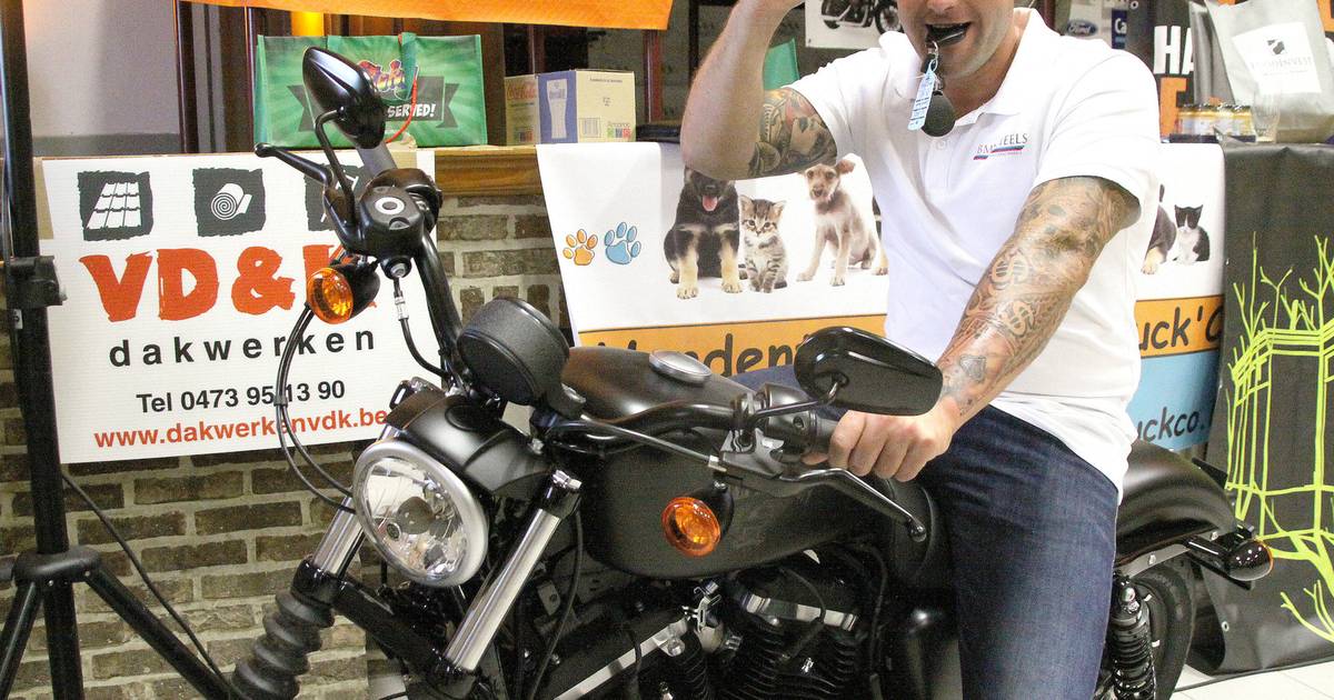 15 leeuwen verslinden Balense Reus | Balen | hln.be