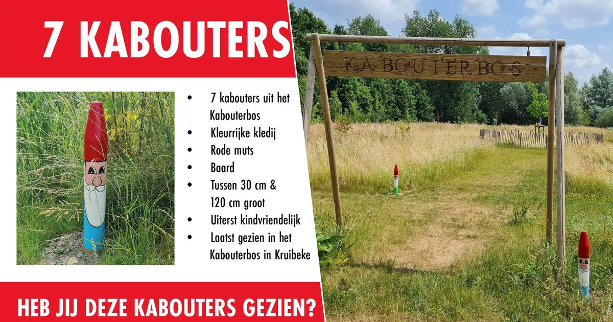 Opsporingsbericht: zeven kleurrijke kabouters vermist uit Kabouterbos ...