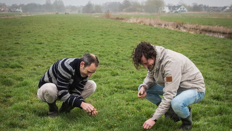 Kruiden plukken voor 'onkruidenboter' en voor de weidevogels