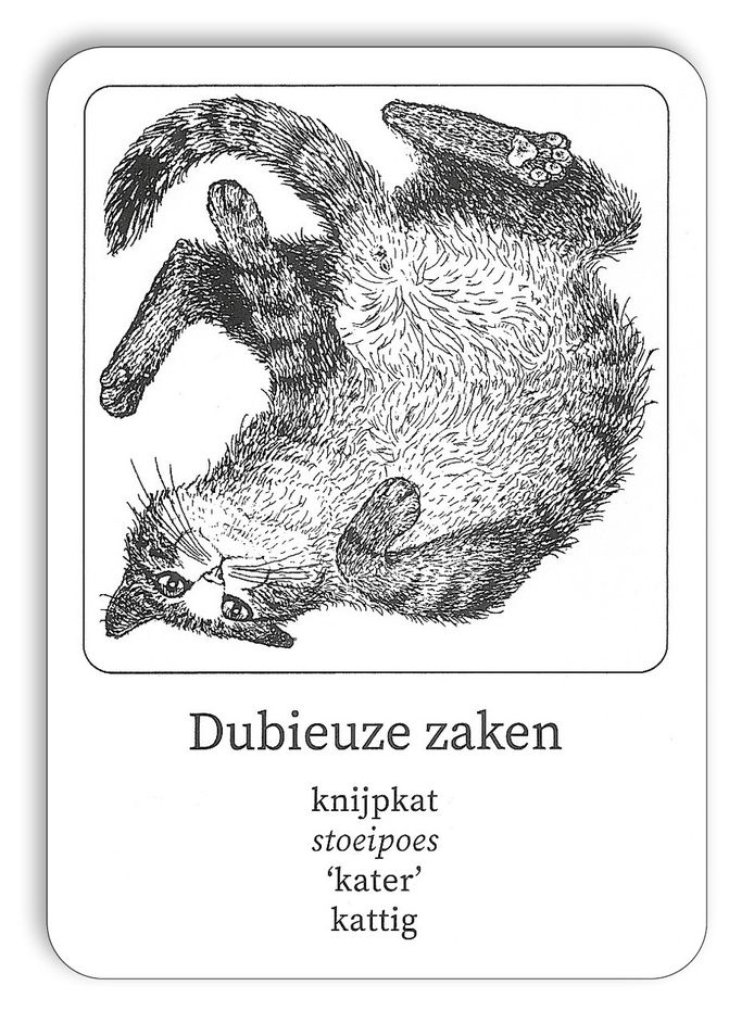 Kunstenares blaast Poezenkwartet nieuw leven in: ‘Mag ik van jou de ...