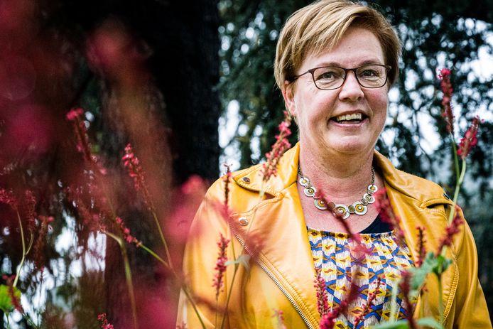 SP in Rotterdam valt uiteen, fractie en geschorst bestuur zetten nieuwe ... SP in Rotterdam valt uiteen, fractie en geschorst bestuur zetten nieuwe ...