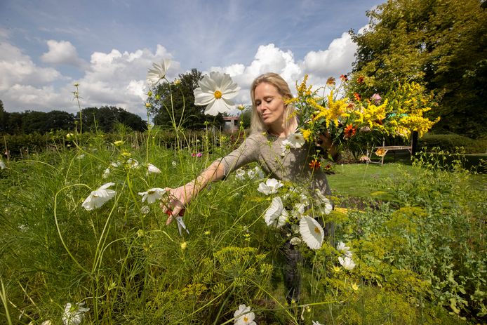 Bloemenpluktuin zorgt voor verbinding op Eikenburg | Eindhoven | ed.nl