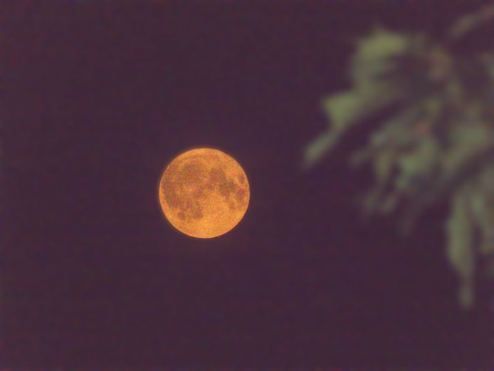 IN BEELD: HLN-lezers fotograferen de blauwe supermaan boven ons land ...