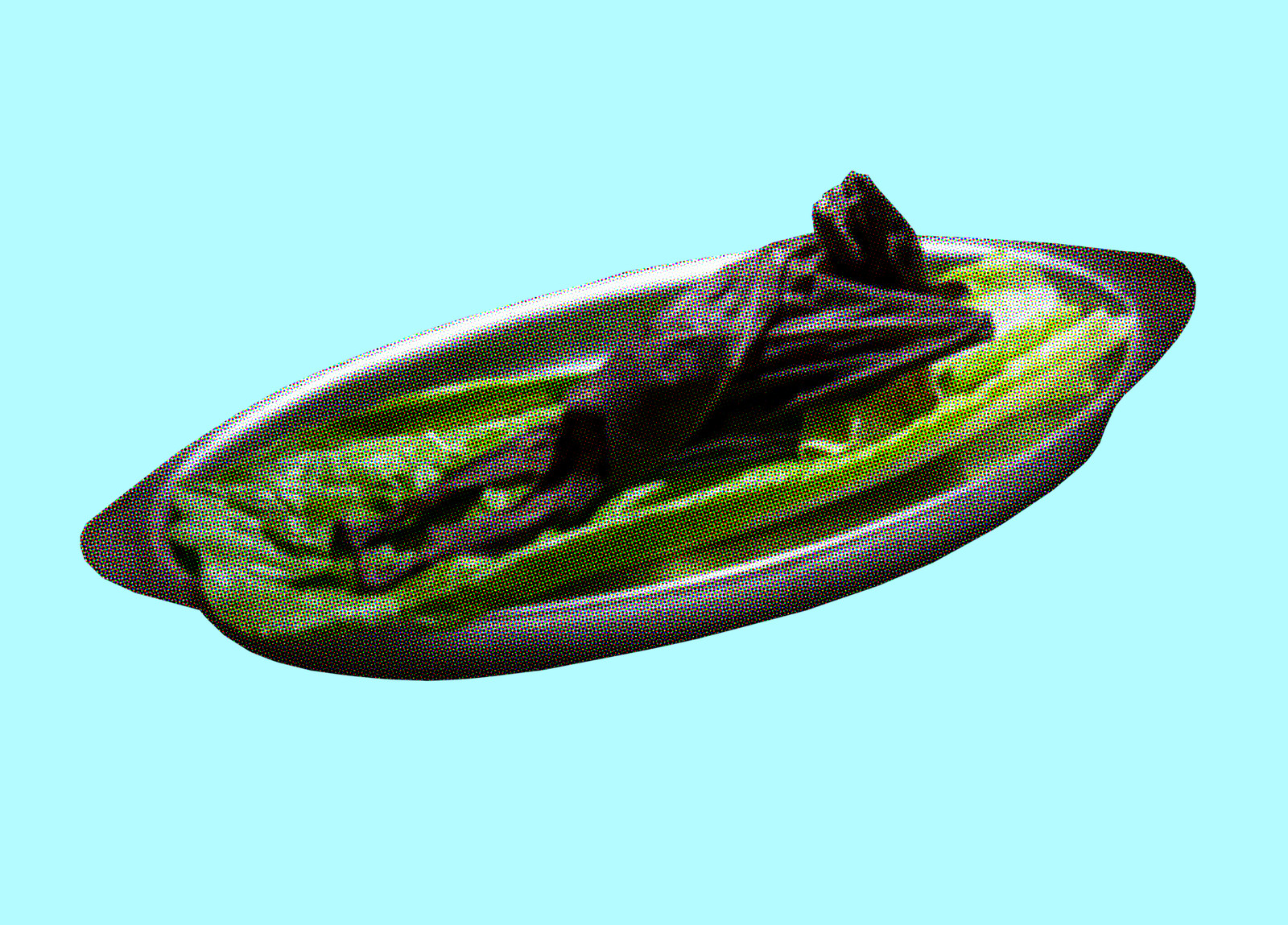 Stierenballen, gebakken cavia en vleermuizensoep: niet voor de ...