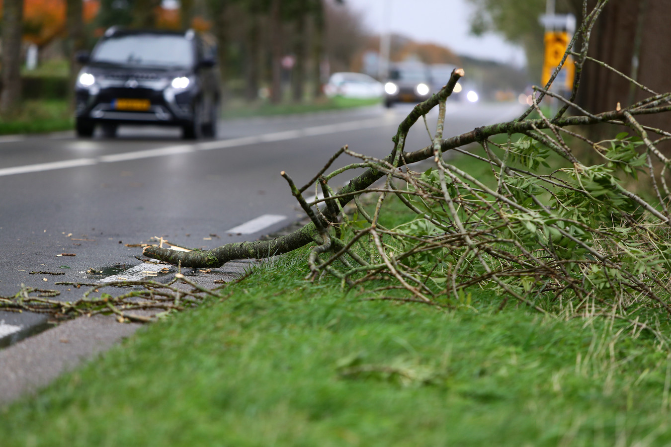 Omgewaaide bomen zorgen voor afsluiting afrit A15 en minder treinen op ...