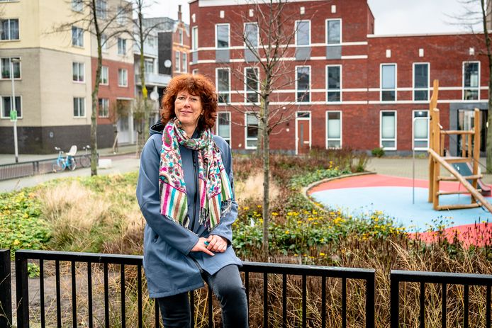 Rotterdam op stoom met planten van extra bomen en bloemen: ‘Groen is ...